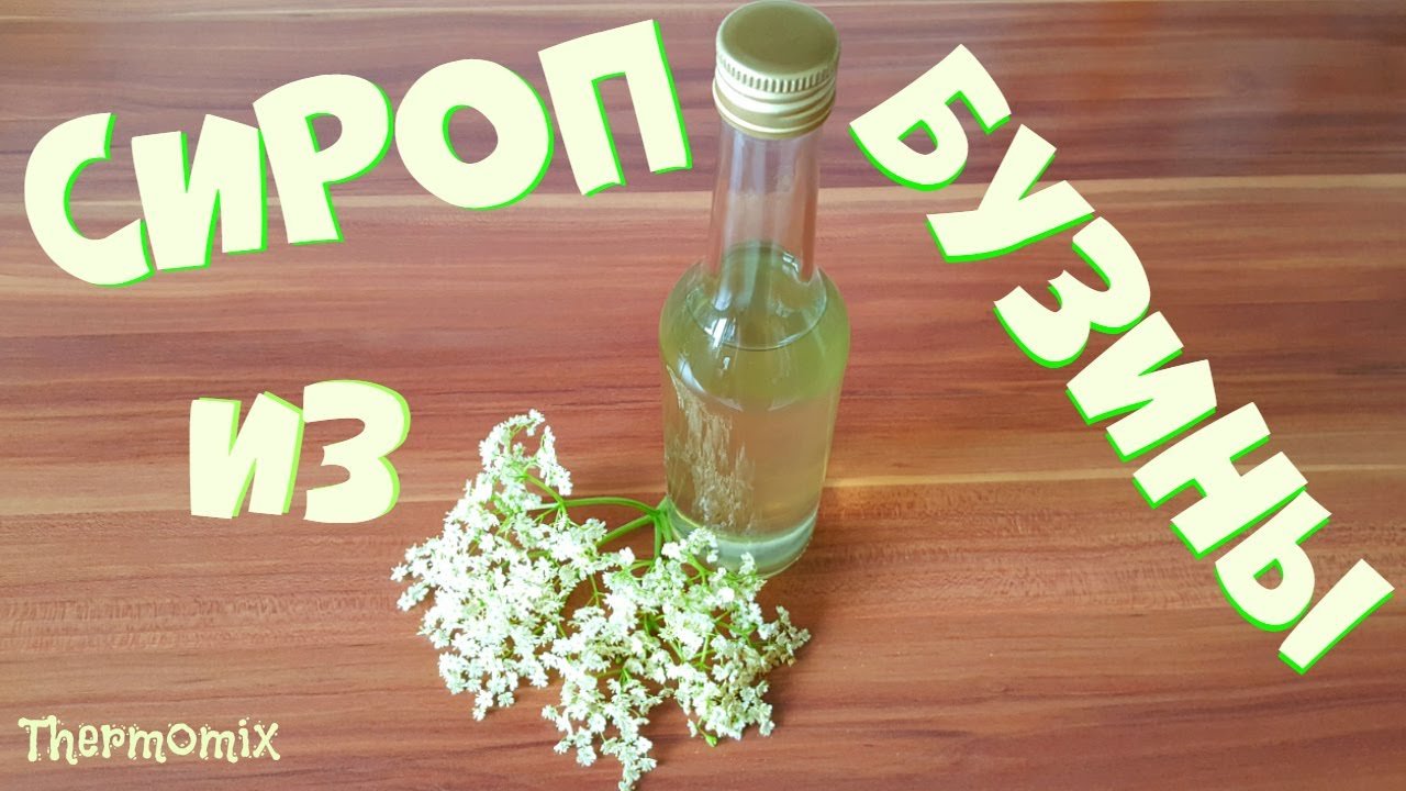 Рецепт сиропа из бузины. - Напитки мира